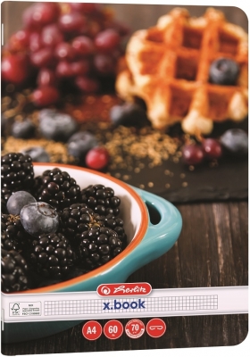 Caiet Herlitz A4, 60 file, patratele, motiv Healthy Snack, diverse ...