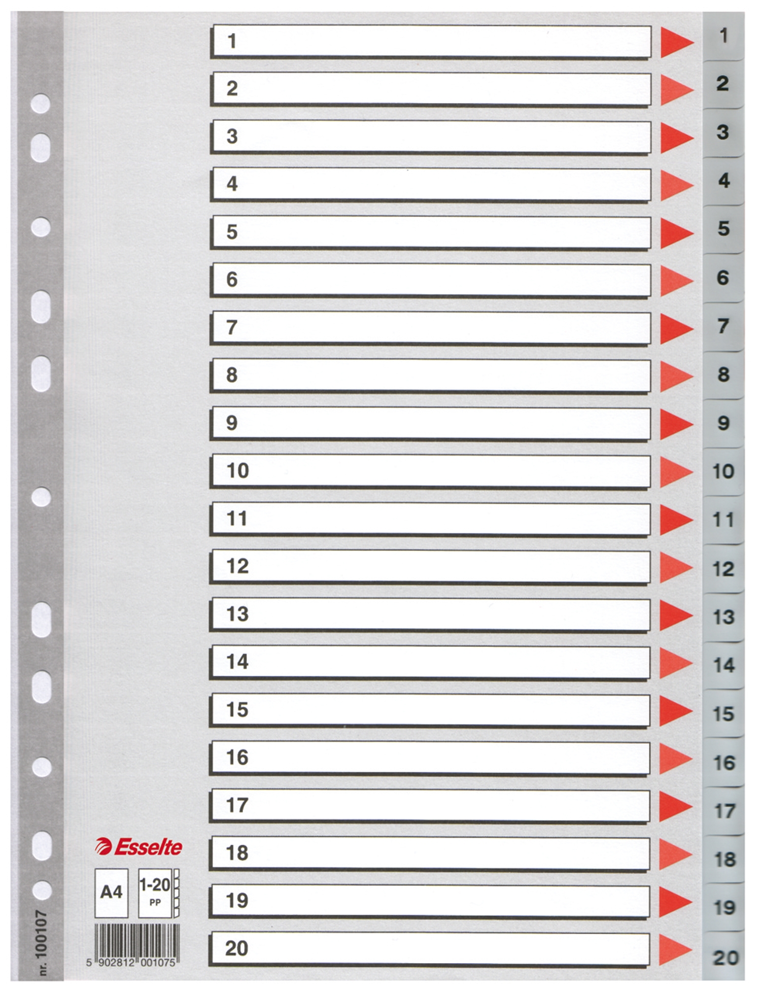 Index din plastic, A4, index 1-20, Esselte - BNB