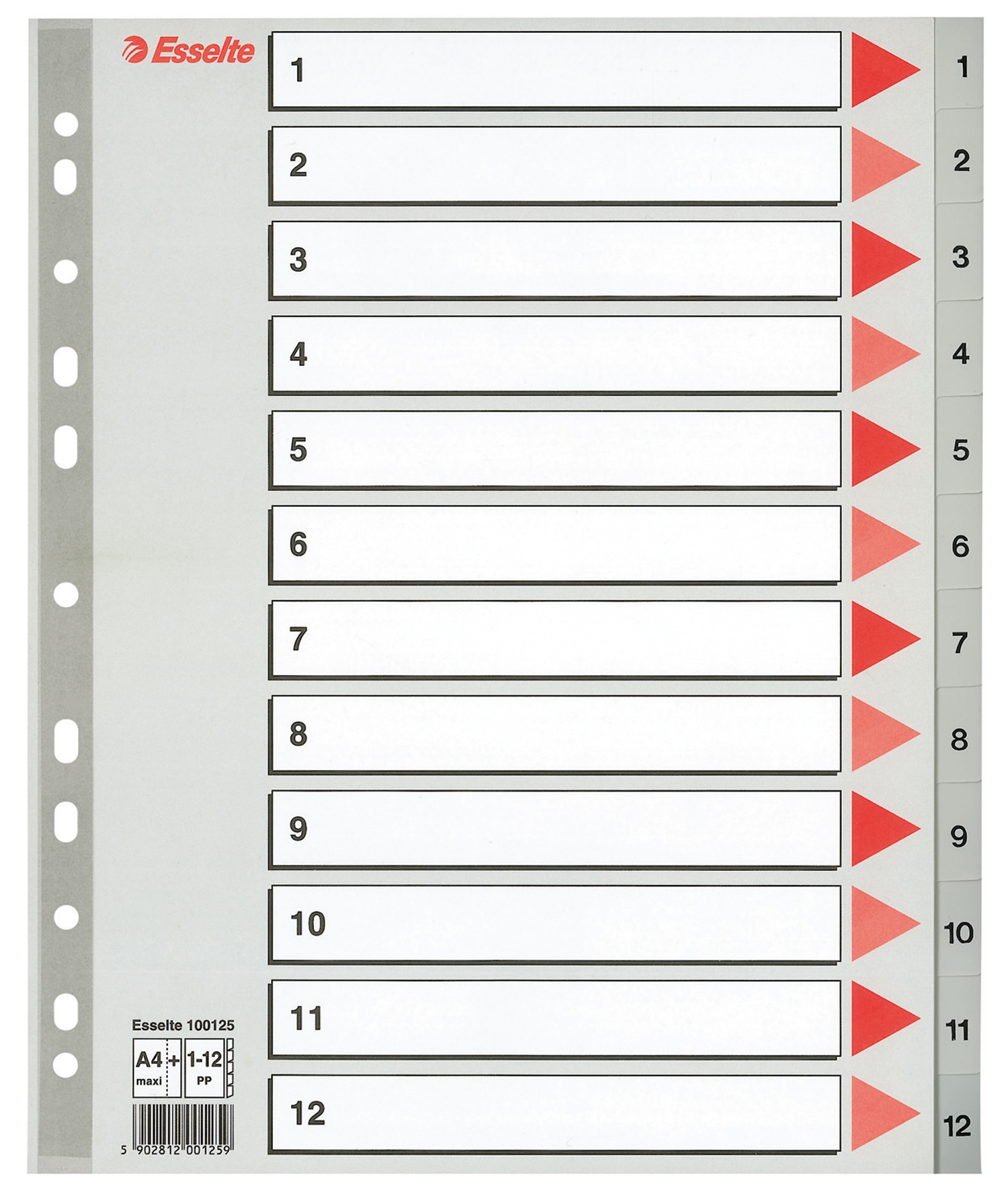 Index din plastic, A4 Maxi, index 1-12, Esselte - BNB